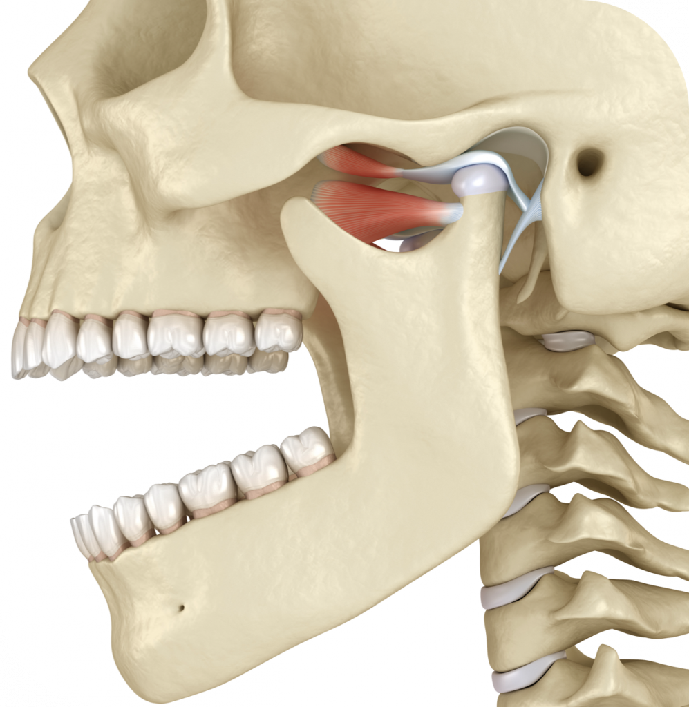 Antrim House Dental – Healthy, Beautiful smiles for the whole family.